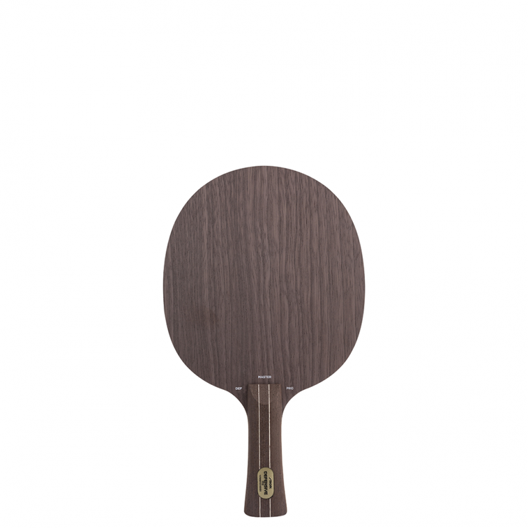 Bois Tennis de Table - Sports Raquettes